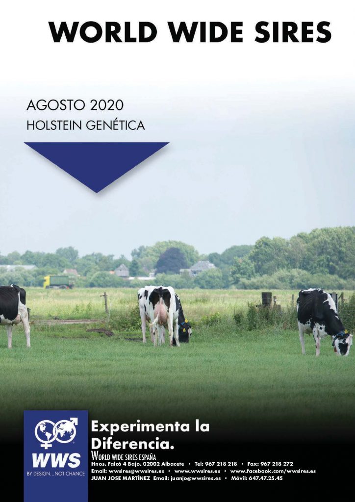 CATÁLOGO AGOSTO 2020 - Wwsires