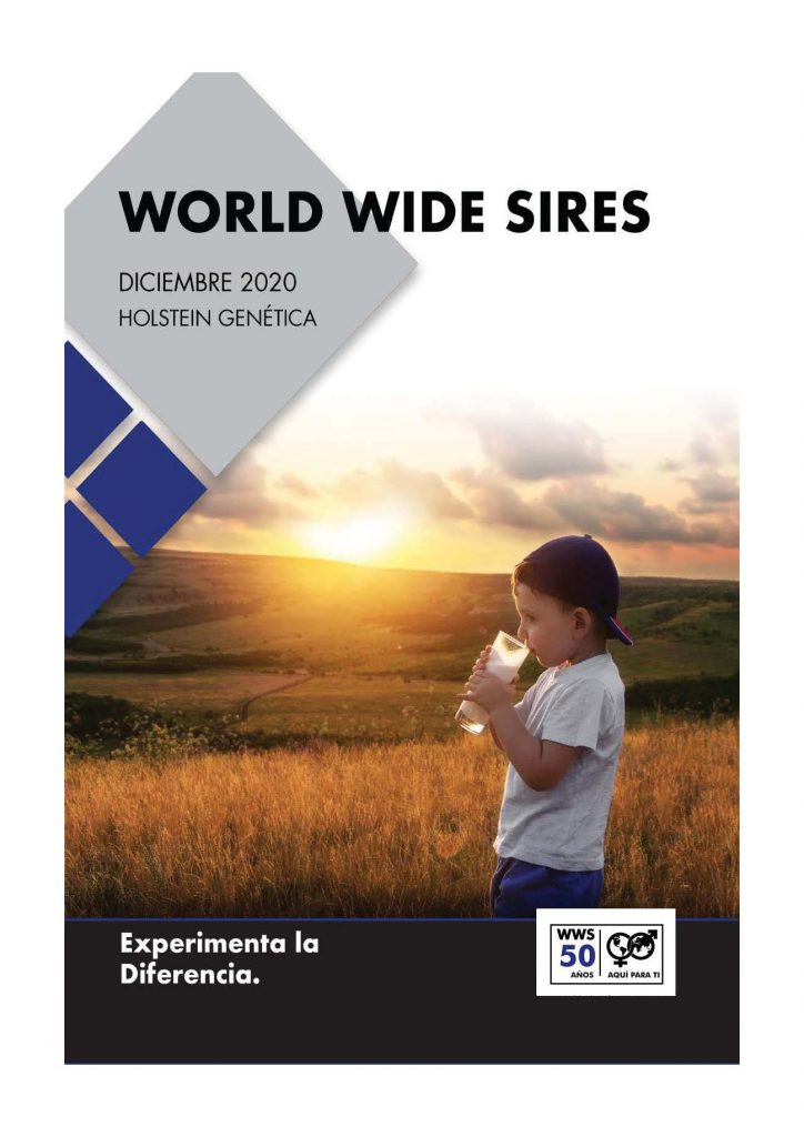 CATÁLOGO DICIEMBRE 2020 - Wwsires