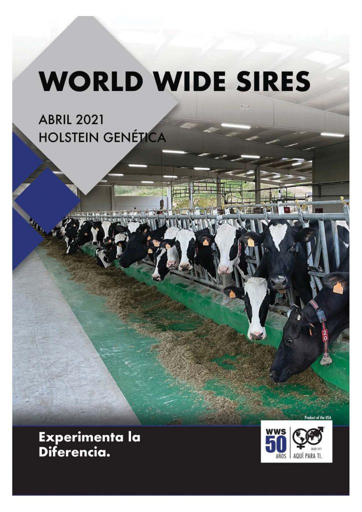 CATÁLOGO ABRIL 2021 - Wwsires