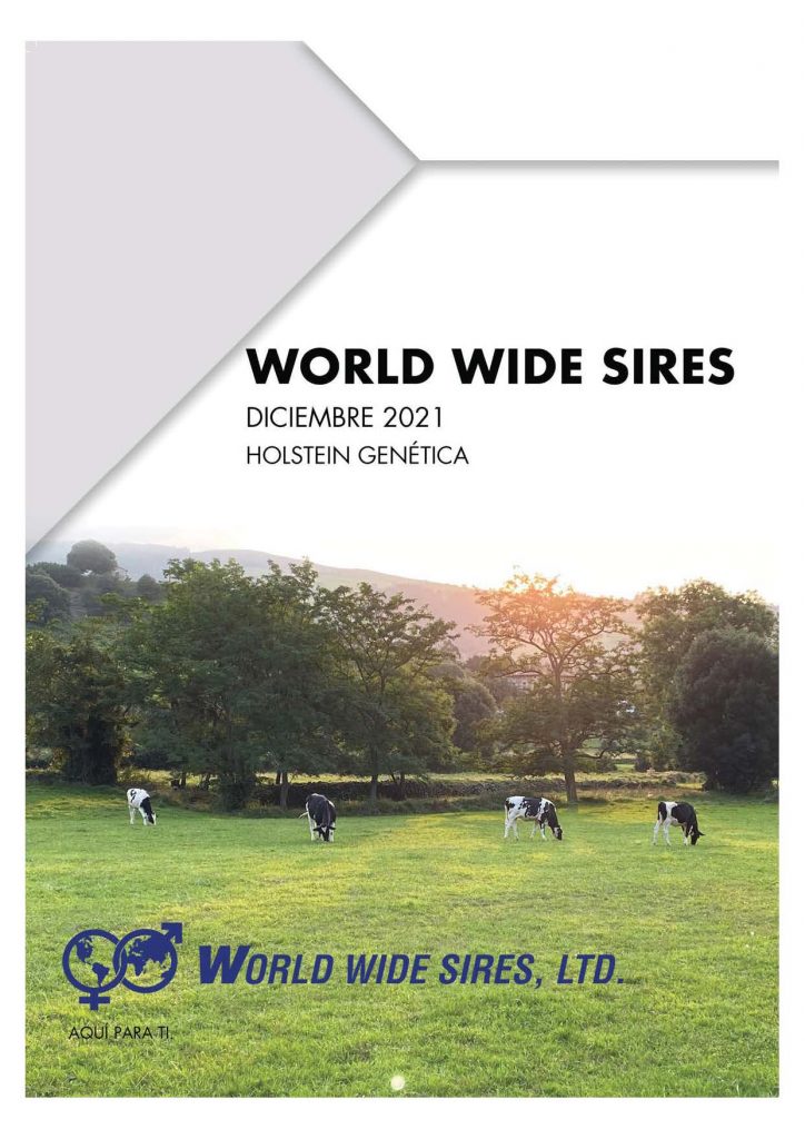 Catálogo Diciembre 2021 - Wwsires