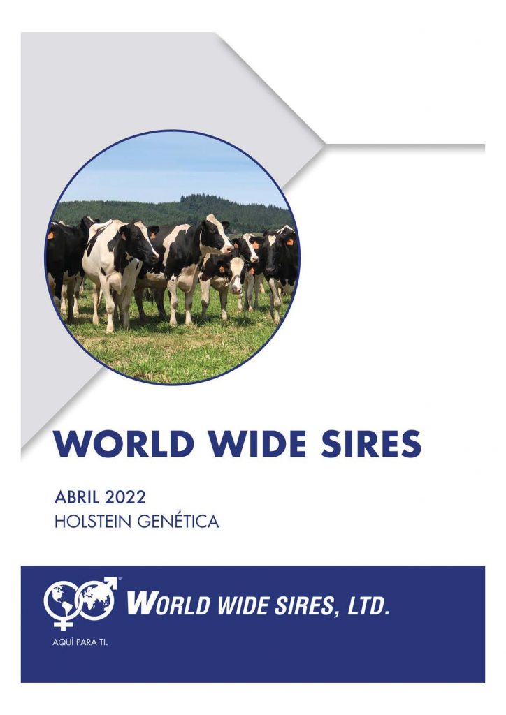 CATÁLOGO ABRIL 2022 - Wwsires