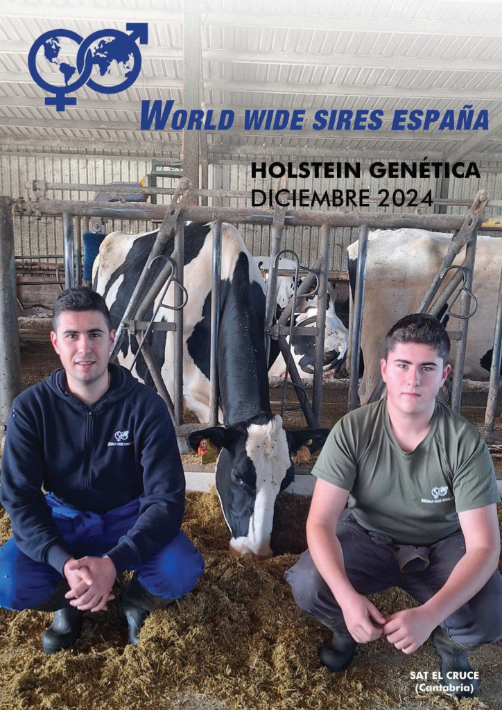 CATÁLOGO AGOSTO 2024 - Wwsires